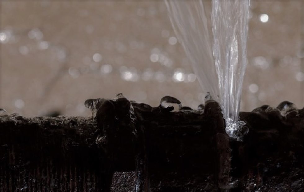 Rats Chewing Through Water Pipes Are A Pain So Call Us ASAP